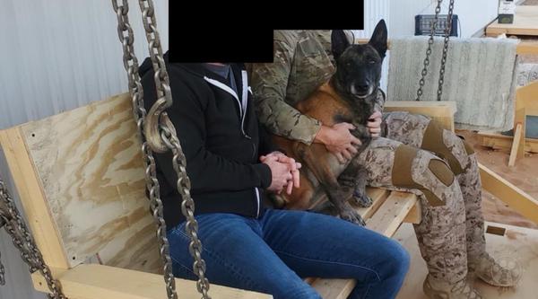 Project K-9 Hero | Protecting Those Who Protected Us!