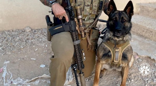 Project K-9 Hero | Protecting Those Who Protected Us!