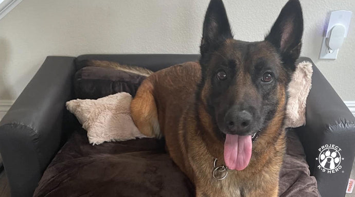 Project K-9 Hero | Protecting Those Who Protected Us!