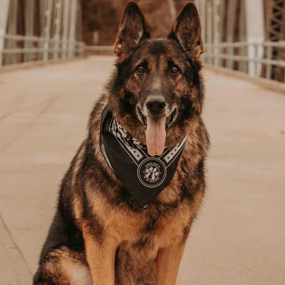 Project K-9 Hero Branded Pet Products, Dog, Leashes, Collars, Toys ...